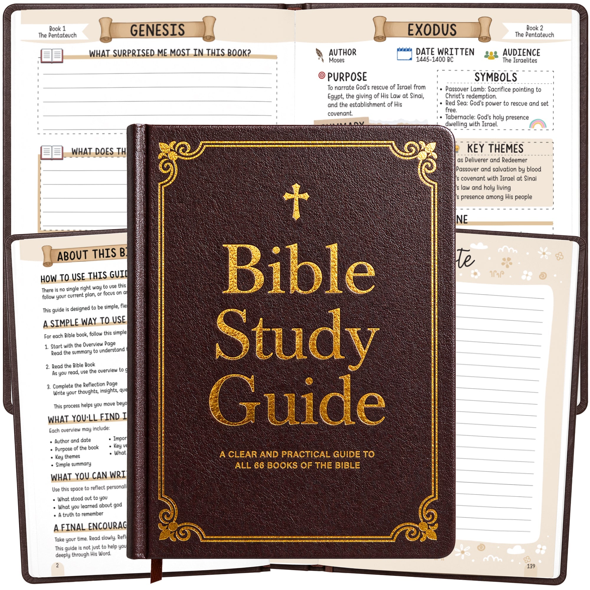 The 66 Books Bible Study Guide – Spring Bible